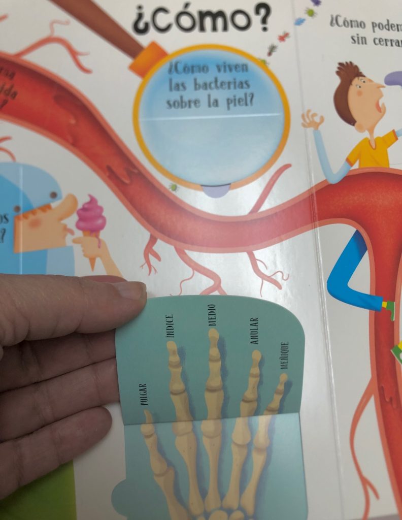 EL CUERPO HUMANO 60 INCREÍBLES DATOS CURIOSOS LEVANTA TAPITAS ...